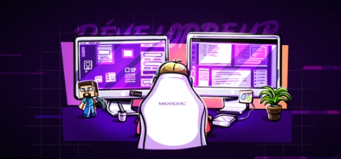 Programmeur de jeux vidéo : salaire, missions et formation